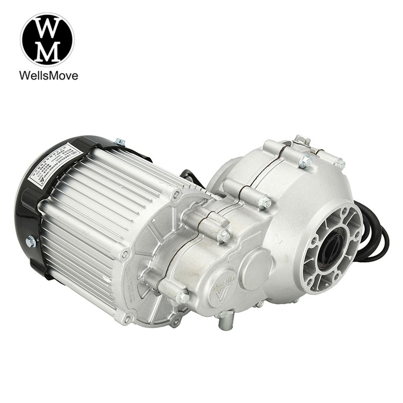 500w800w1000w motor with gear box - WellsMove
