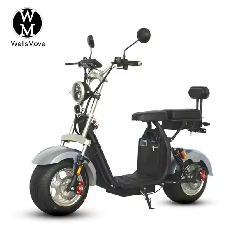 Brazil citycoco Scooter Road legal - wellsmove